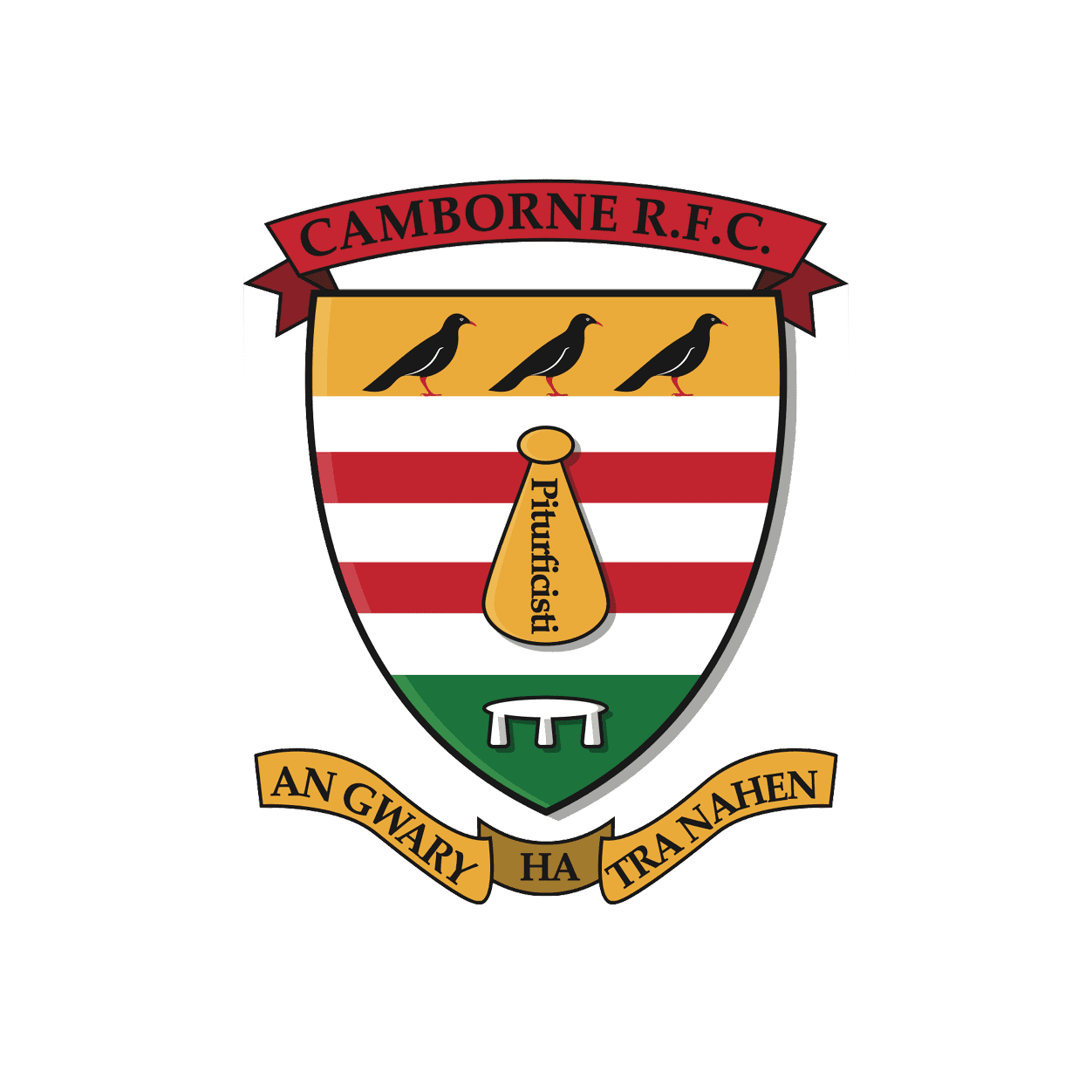 Latest News | Camborne RFC